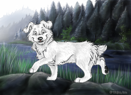 Trickling Brook Wallpaper - The Wajas Wiki