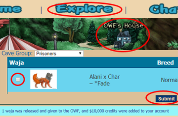 Newbie Mega Guide - The Wajas Wiki