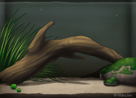Fresh Water Tank Wallpaper - The Wajas Wiki
