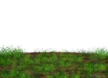 Grass Midground - The Wajas Wiki