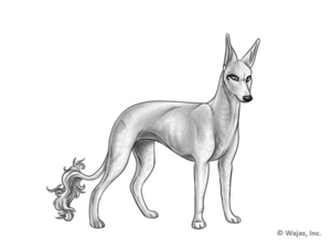 Breed Dominance - The Wajas Wiki