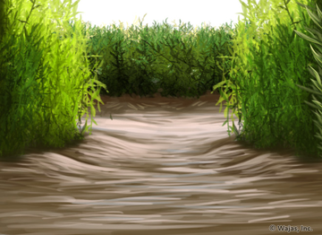 Corn Maze Wallpaper - The Wajas Wiki